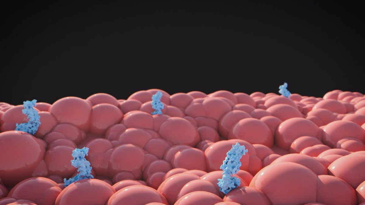 ace 2 receptor 3d science graphic 01 - Daley Graphics Ltd - Design ...